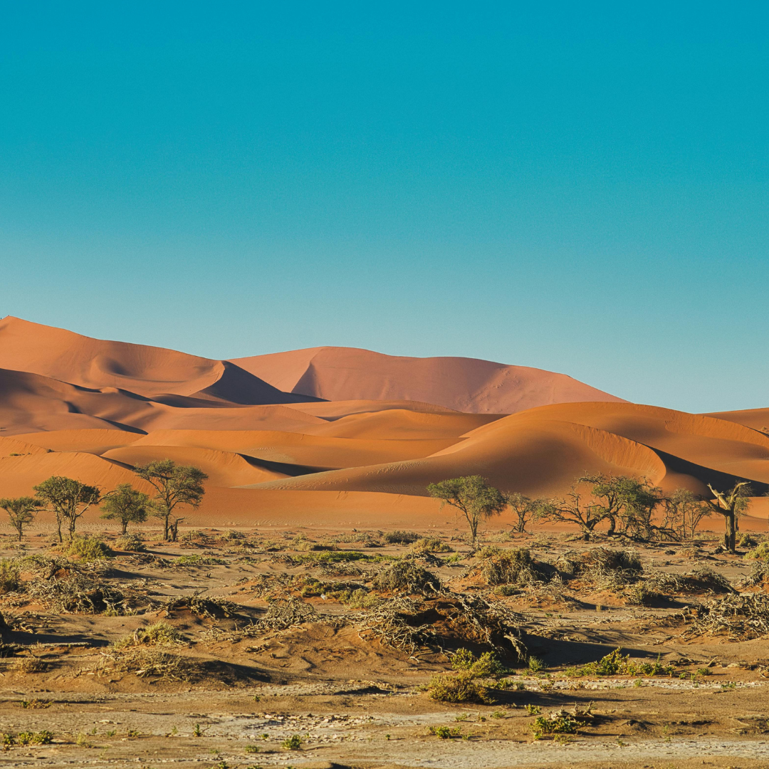 Public Private Partnerships - Case of Namibia – SADC-DFRC